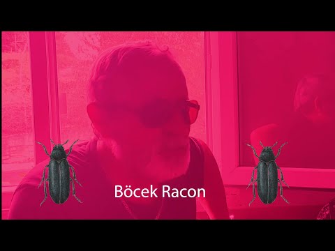 Böcek Necdet Arkadan Vuruluyor