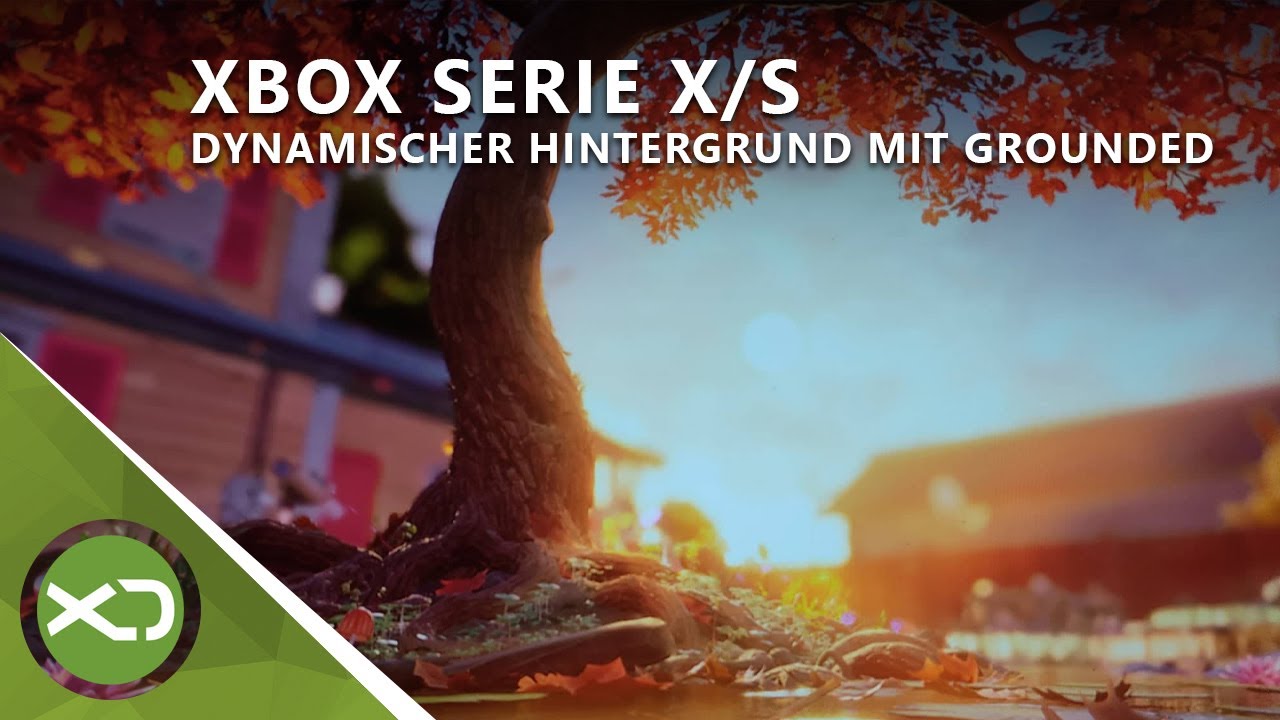 Xbox Serie X/S - dynamischer Hintergrund mit Grounded - YouTube
