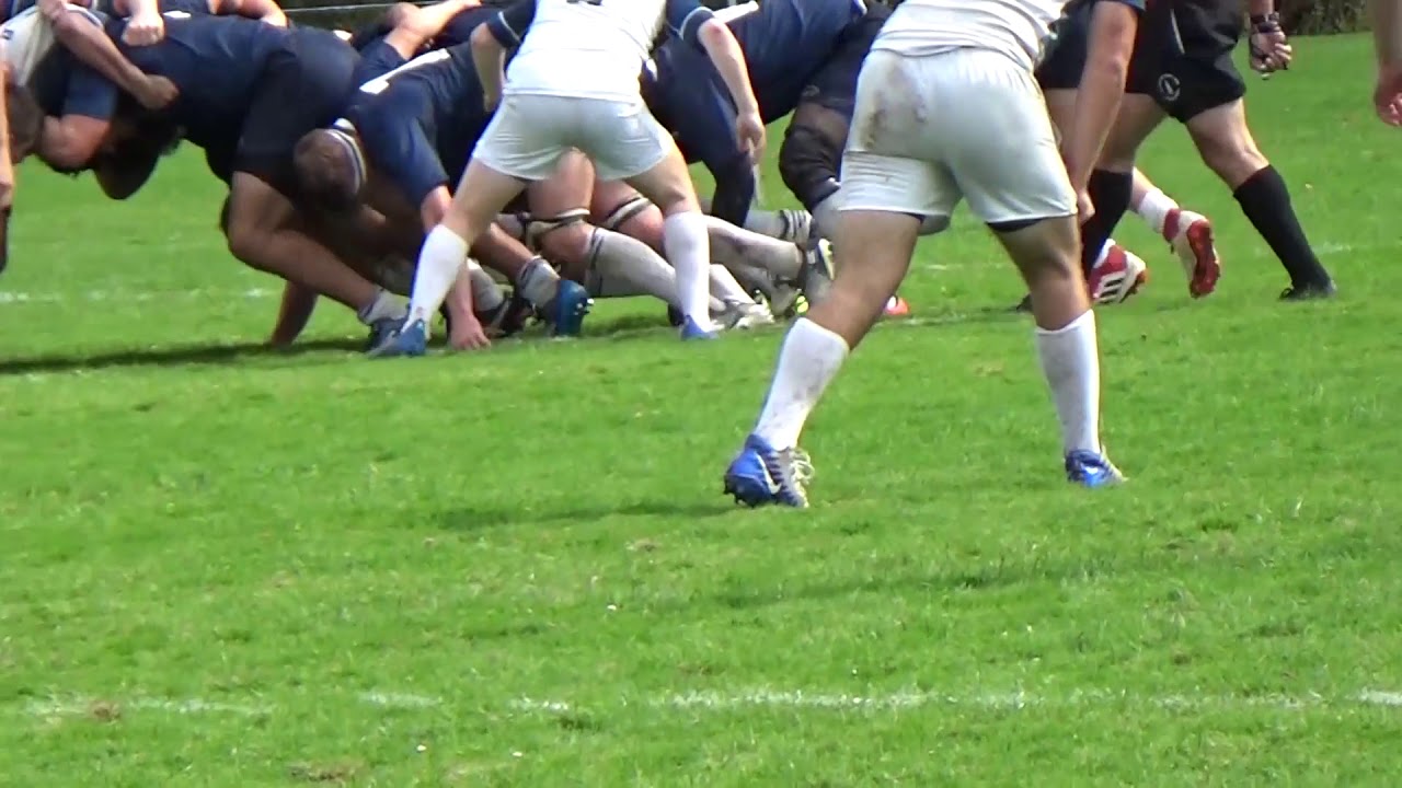 Bentley rugby highlight tape 2019 - YouTube