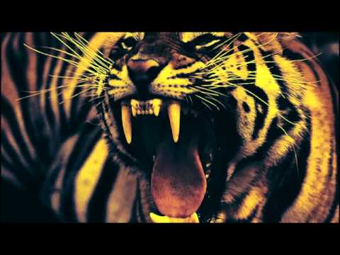 Eye of the Tiger (Metal Version)