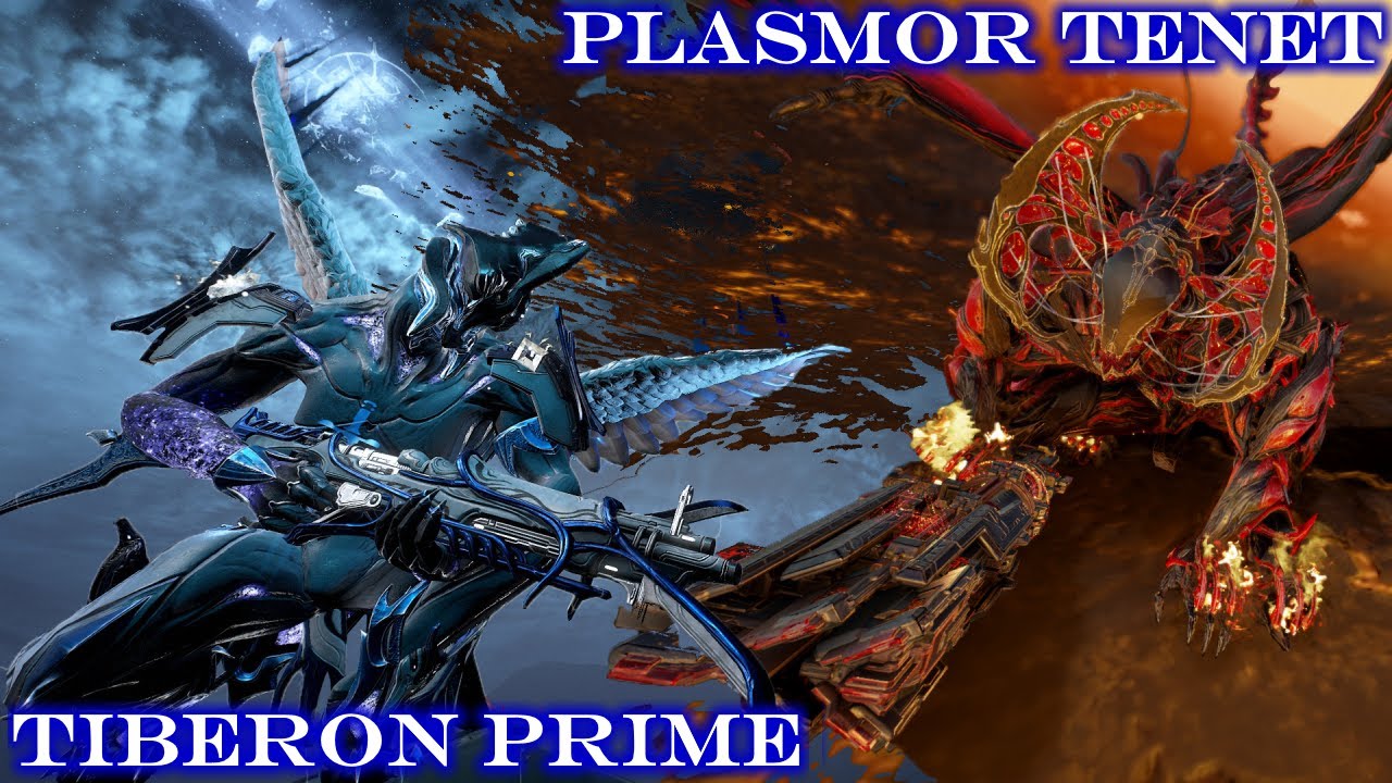 Plasmor Arca Tenet y Tiberon Prime - La MEJOR Tenet y una Prime muy ...