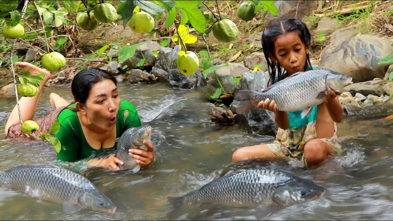 Pick guava fruit and catch big fish in waterfall- Mother steaming fish ...