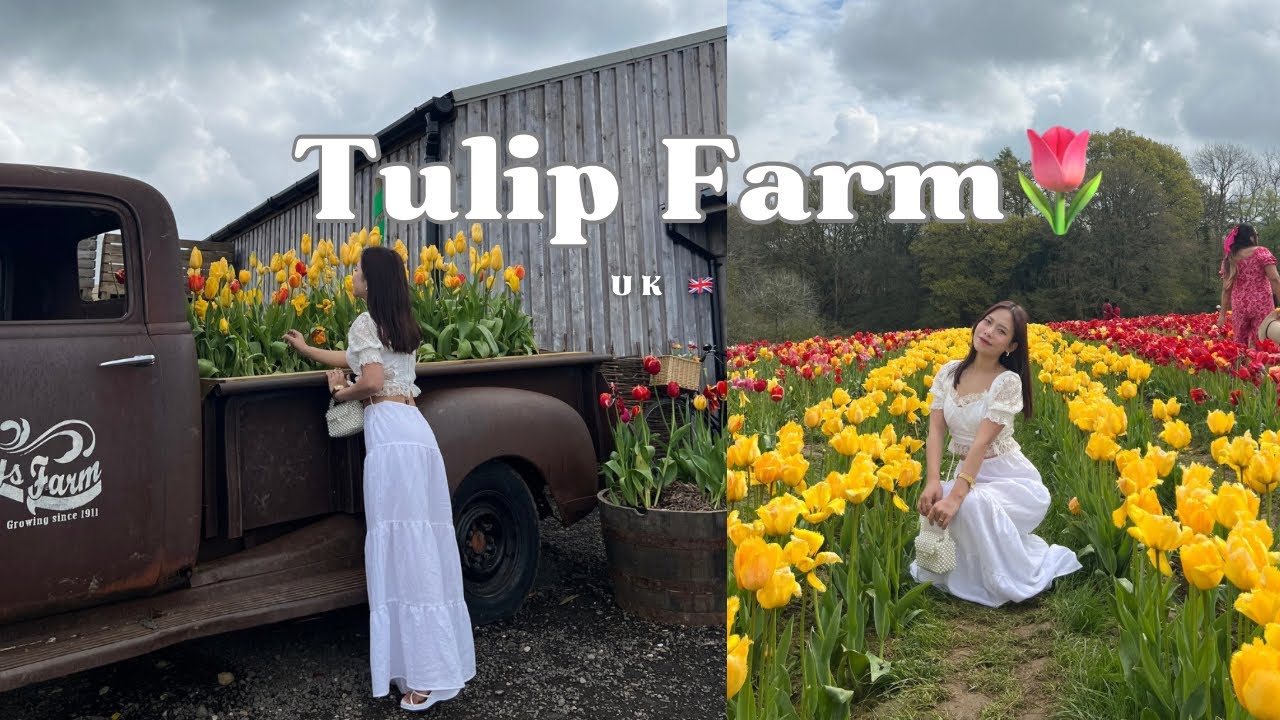 Tulley Tulip Fest , UK 🇬🇧🌷 || Explore with Nyima🫶🏻 |||Like in UK - YouTube