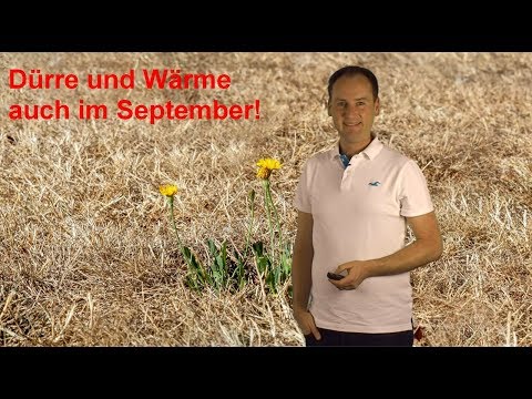Der Jahrhundertsommer 2018 gibt nicht auf: Wärme und Dürre auch im September!! (Mod.: Dominik Jung)