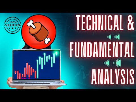 BONE SHIBASWAP HOLDERS: TECHNICAL & FUNDAMENTAL ANALYSIS