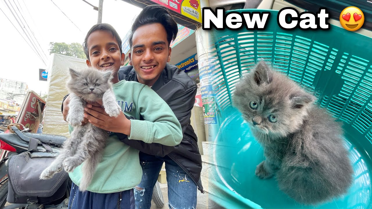 Finally Isko Buy Kar Liya 😍 My First Pet 😀 - YouTube