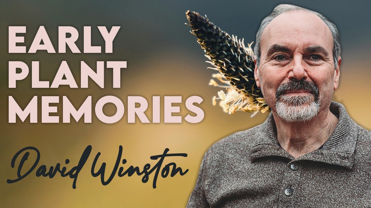 The FIRST Plants Herbalist David Winston Knew as a Kid - YouTube