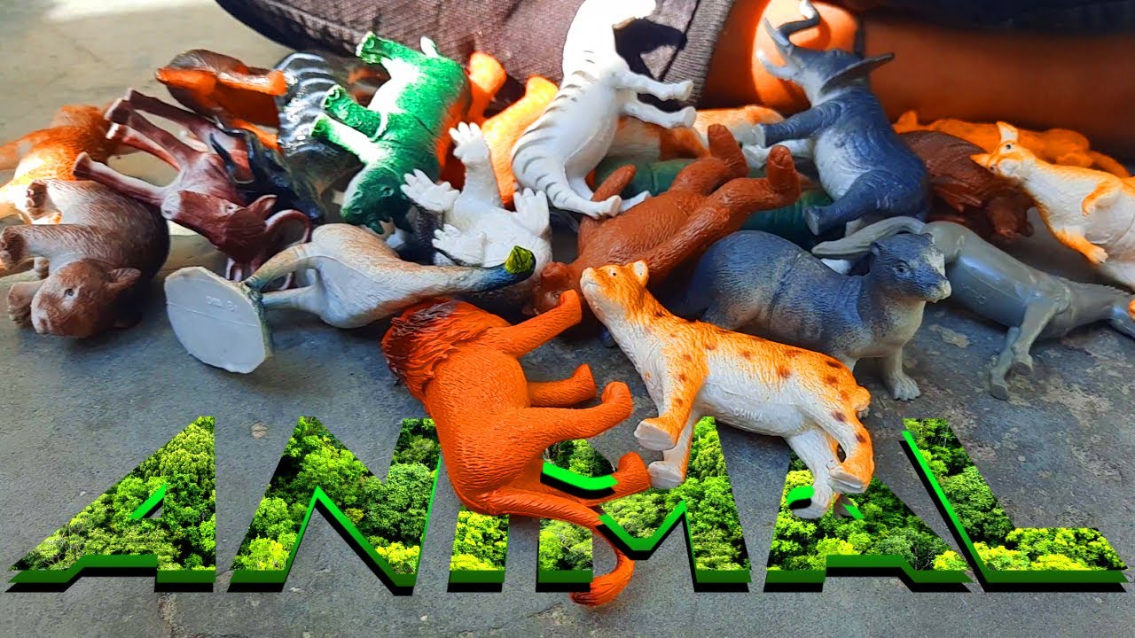 Toy Zoo Wild Animals Collection | Wild Animals Sounds | Children, Kids ...