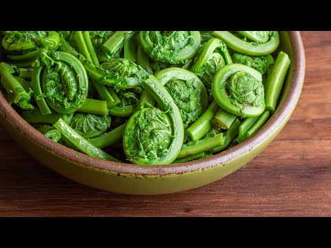 How To Cook Fiddle Head Ferns