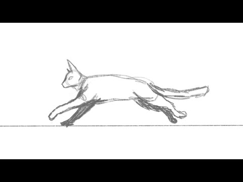 Cat Running Animation - YouTube