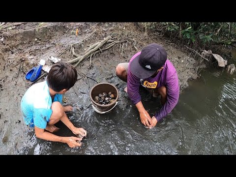 Part 1. Pangangapa ng Lokan (Mud Clam Shell), Catch & Cook, Tinortang ...