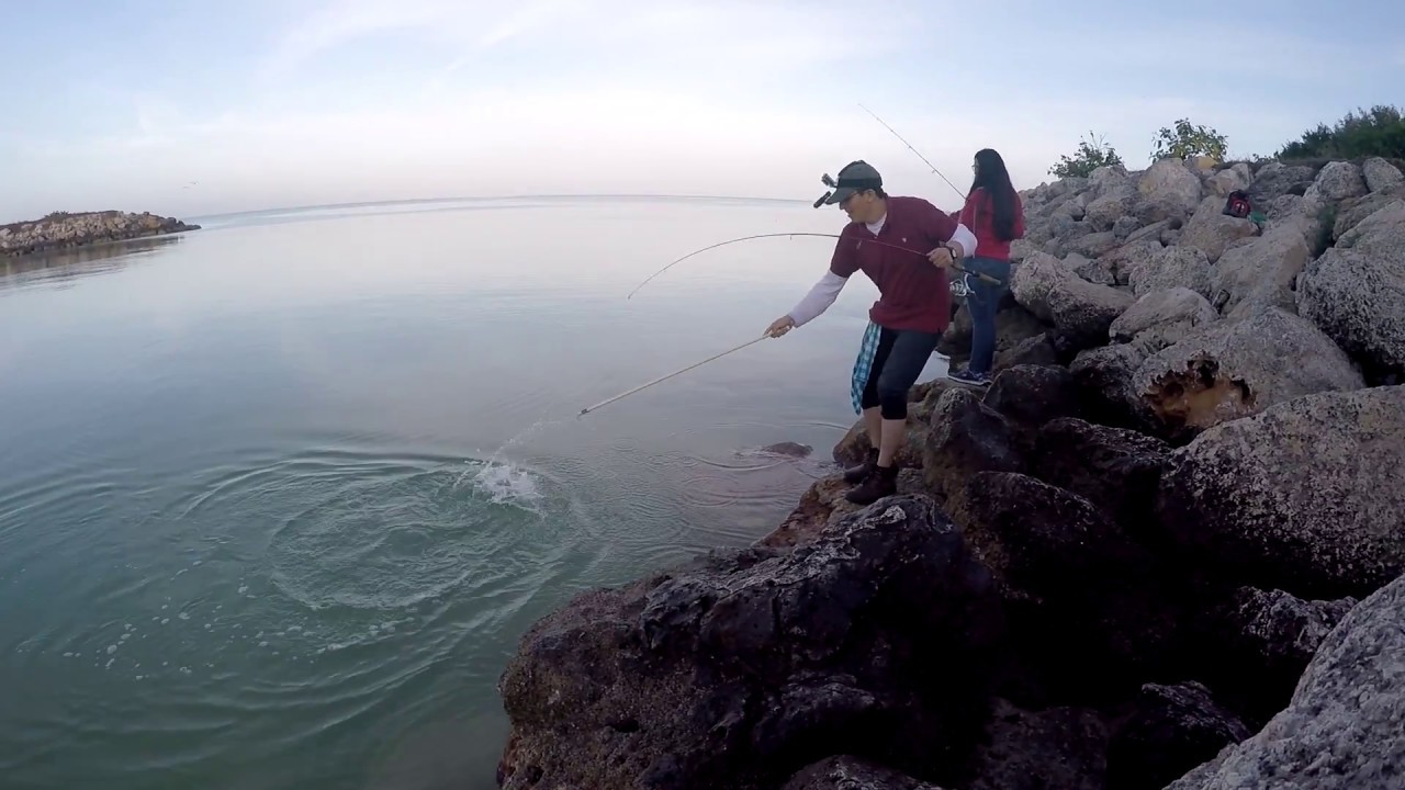 Pesca de Robalo , el primero de muchos - YouTube