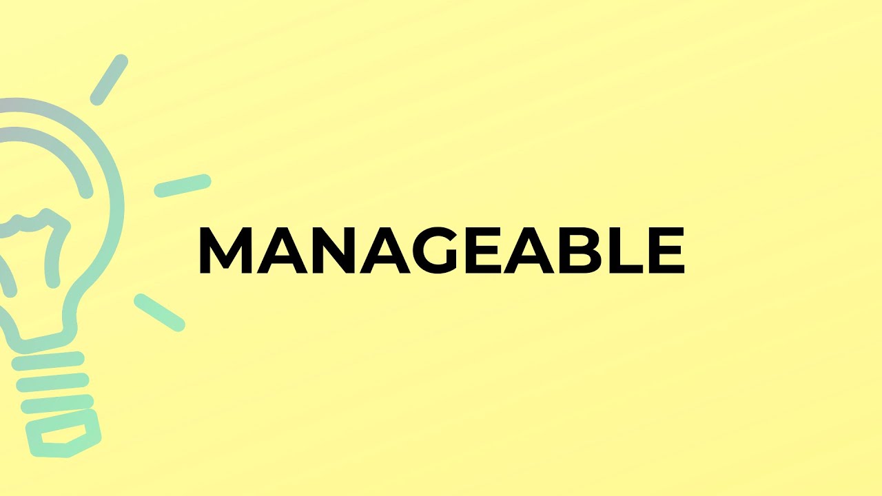 What is the meaning of the word MANAGEABLE? - YouTube