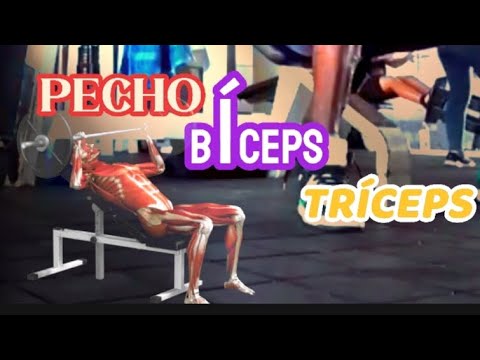 Entrena a otro Nivel RUTINA COMPLETA DE PECHO BÍCEPS Y TRÍCEPS con alta ...