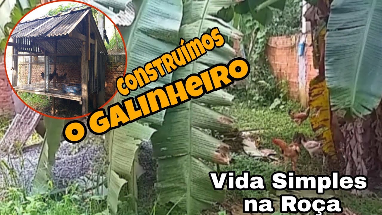 Construímos um Galinheiro simples e mostramos,passo a passo 🐓 - YouTube