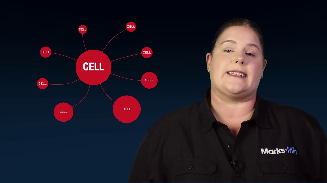 Growth Benefits of Marks Min Injectable Cattle - YouTube