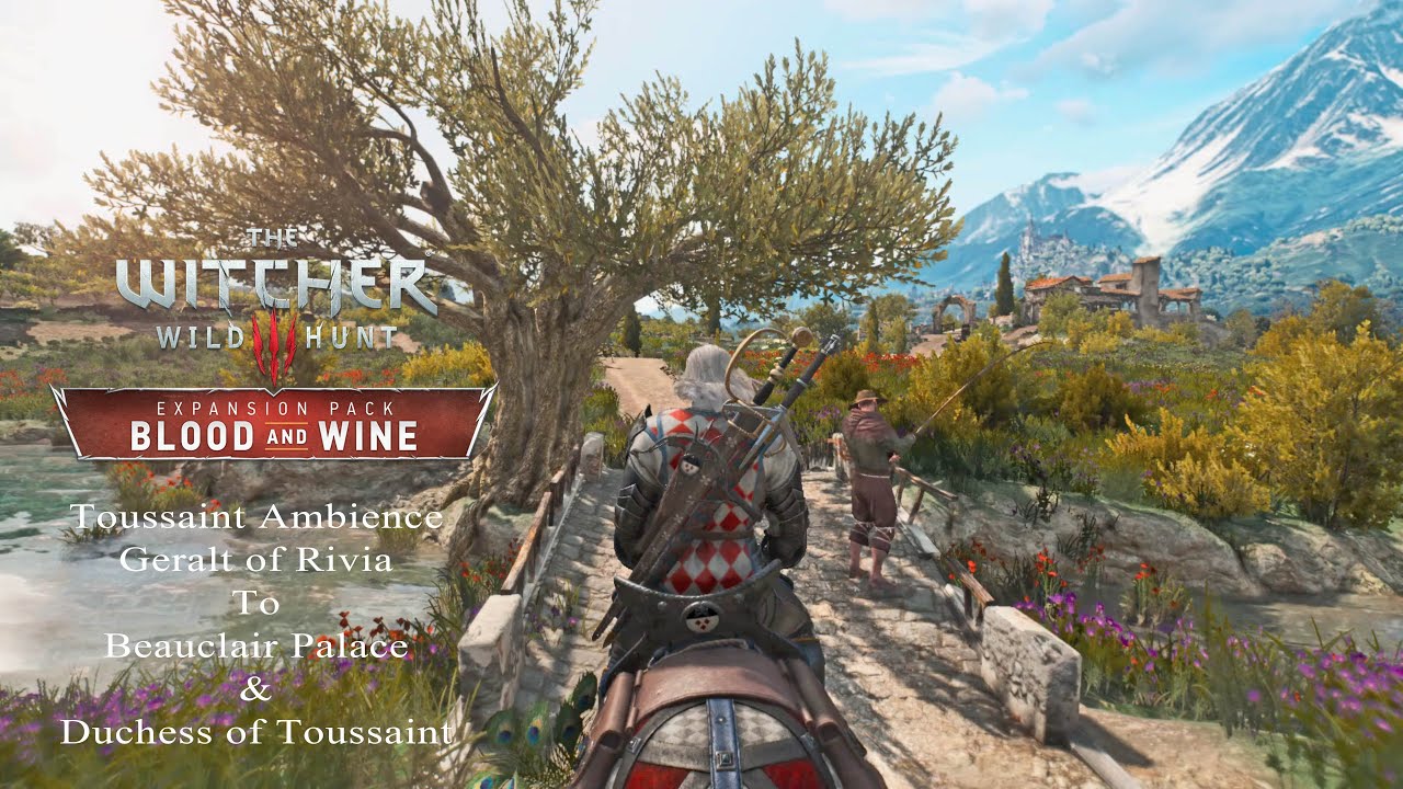 The Witcher 3 Ambience & Theme Music - Geralt To The Beauclair Palace ...