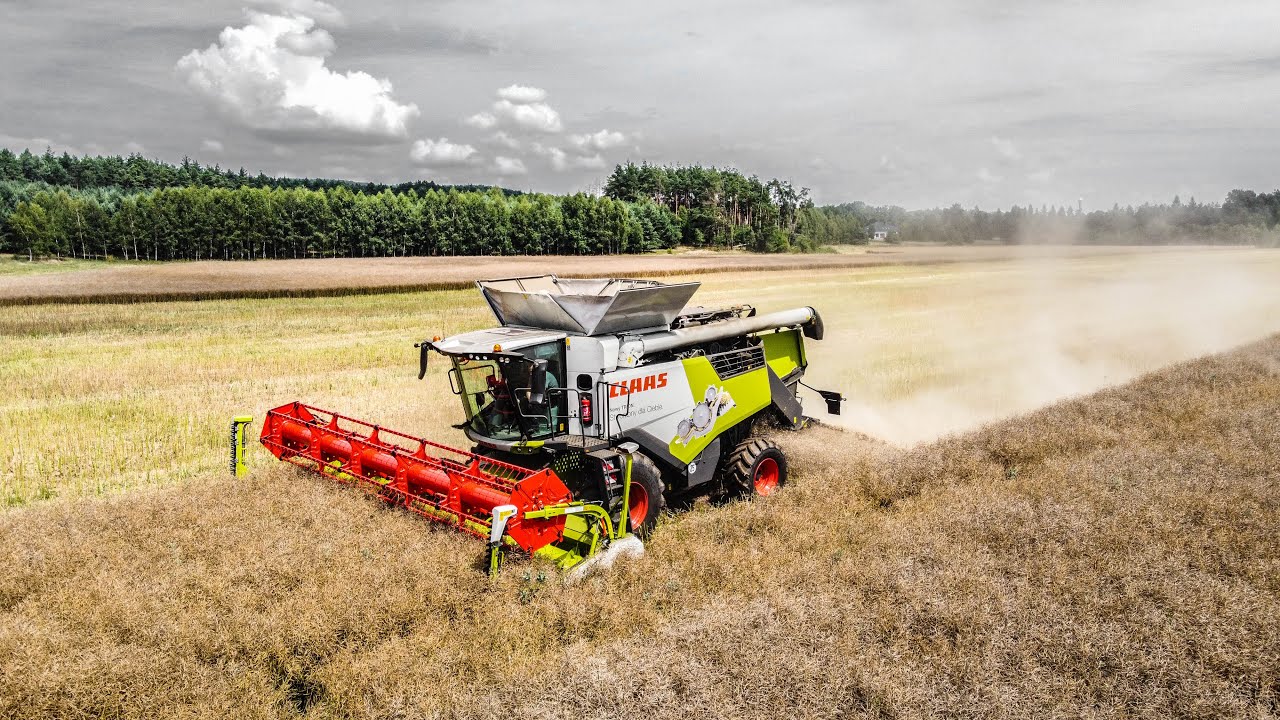 CLAAS TRION P660 OFICJALNA PREMIERA |ŚWIERKOT TECH AGRO| - YouTube