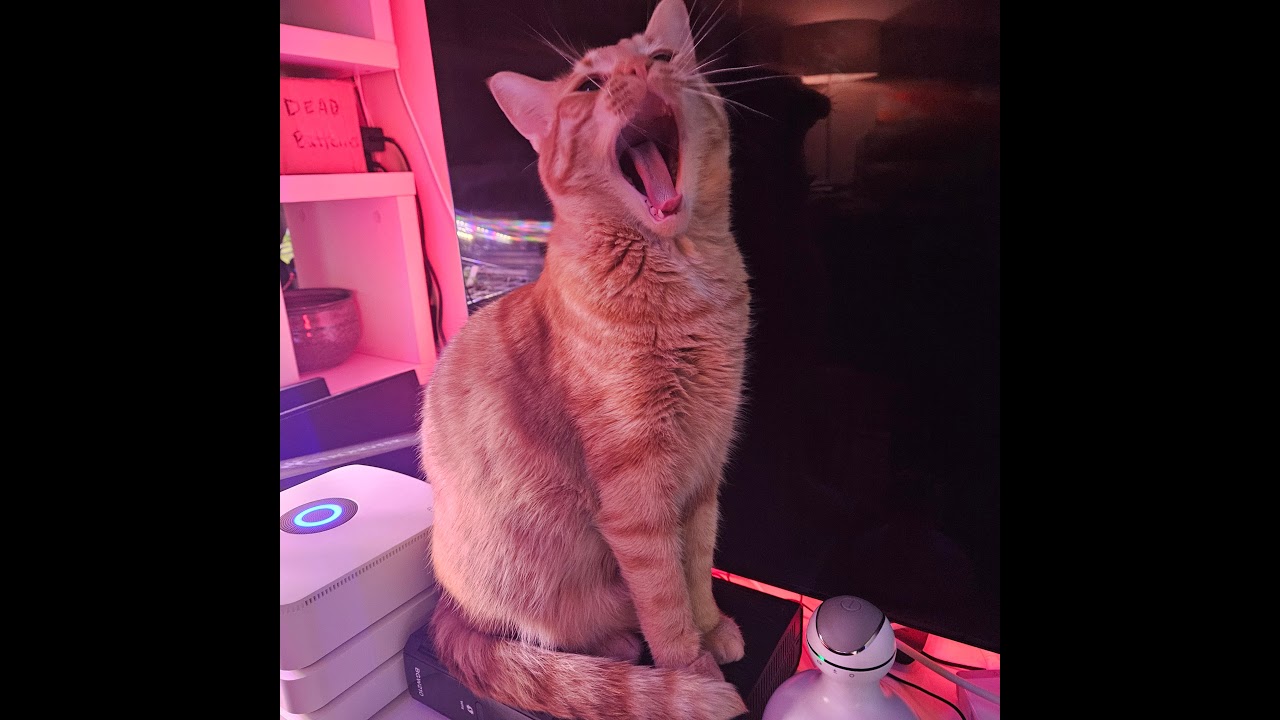 Pearle Vision Live Stream - YouTube