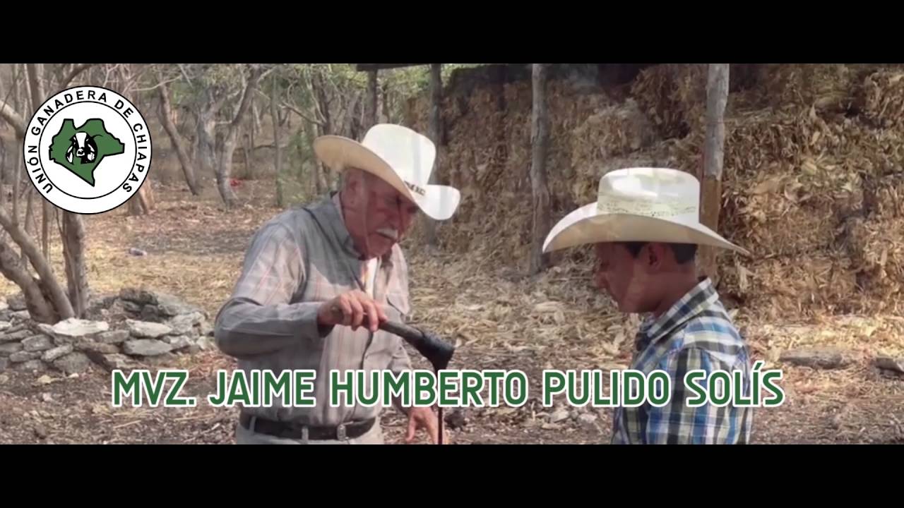 JAIME HUMBERTO PULIDO SOLISmusic - YouTube