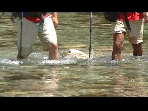 Boydan Boya Manavgat