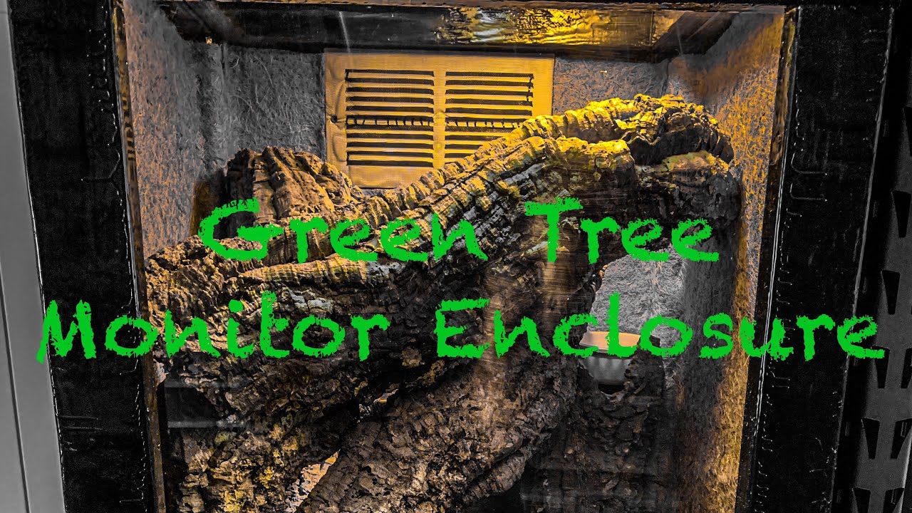 Green Tree Monitor Cage