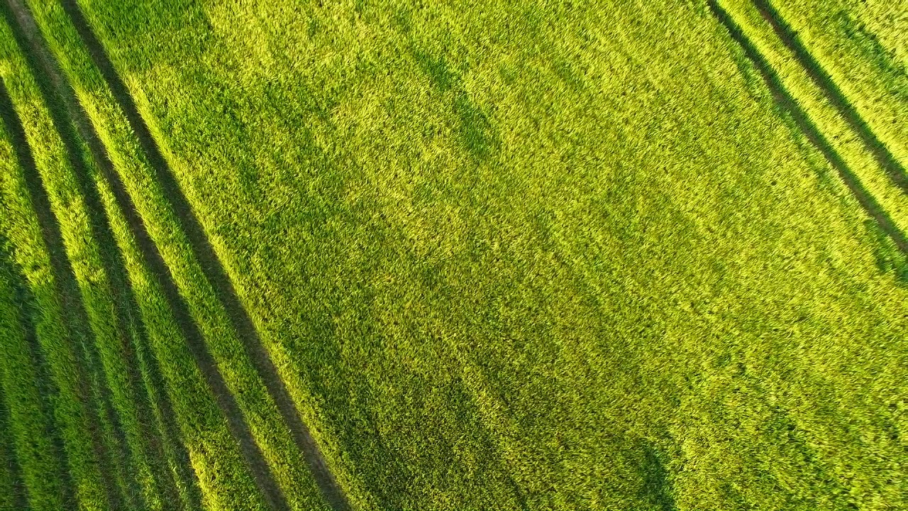 100 meters up - YouTube