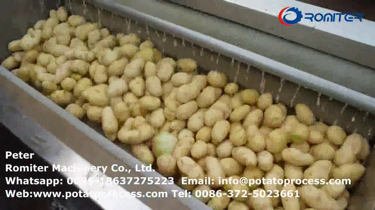 Batch Type Brush Roller Potato Washing Peeling Machine for Sale - YouTube