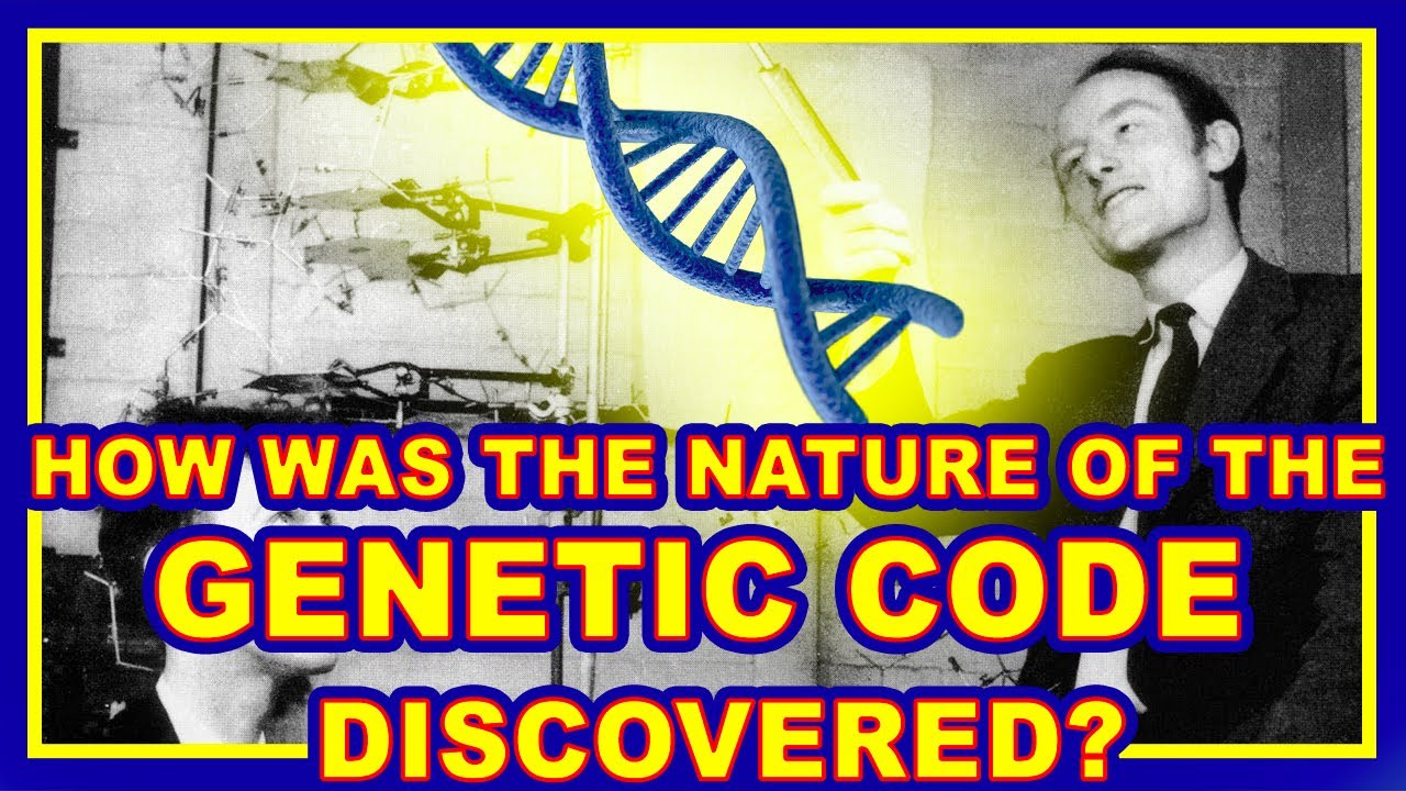Discovery: structure of the Genetic Code for Proteins (Crick and ...