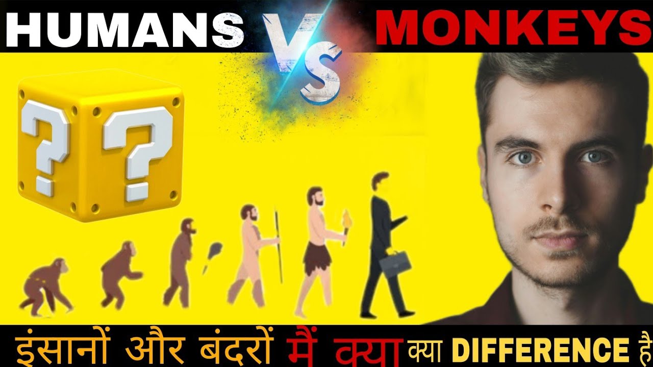 Humans Vs Monkeys|| my fact 😱 || WHAT IS DIFFERENCE?? - YouTube