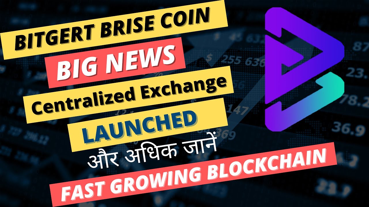 BITGERT | HUGE UPDATE GEM OF 2022 | BRISE BEST PROJECT TO INVEST - YouTube