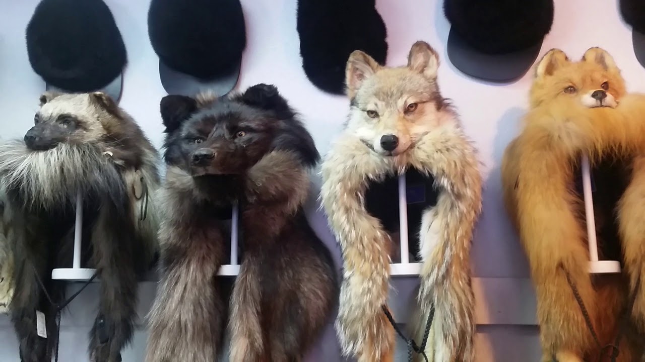 An Onion in Alaska: Alaska Fur Exchange, what's in a name - YouTube