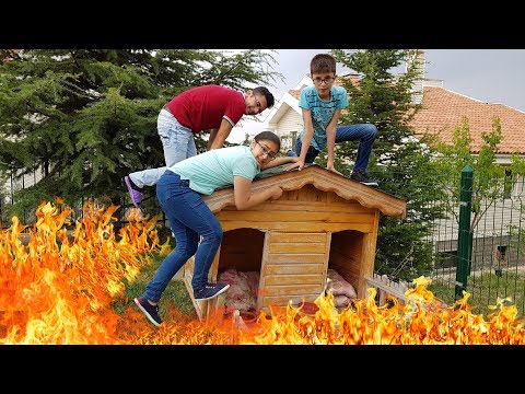 Yerde Lav Var Oynadık! - The FLOOR is LAVA CHALLENGE!