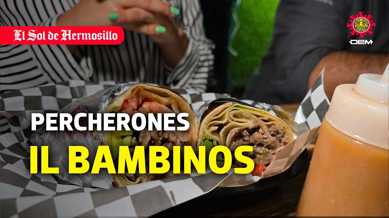 Burros percherones il Bambinos, de Hermosillo para el mundo ¿Serán los ...