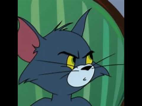 normal kid Live Stream - YouTube