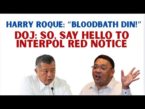 HARRY ROQUE, INTERPOL RED NOTICE, HINILING NA| GUSTO RIN NIROQUE NG ...