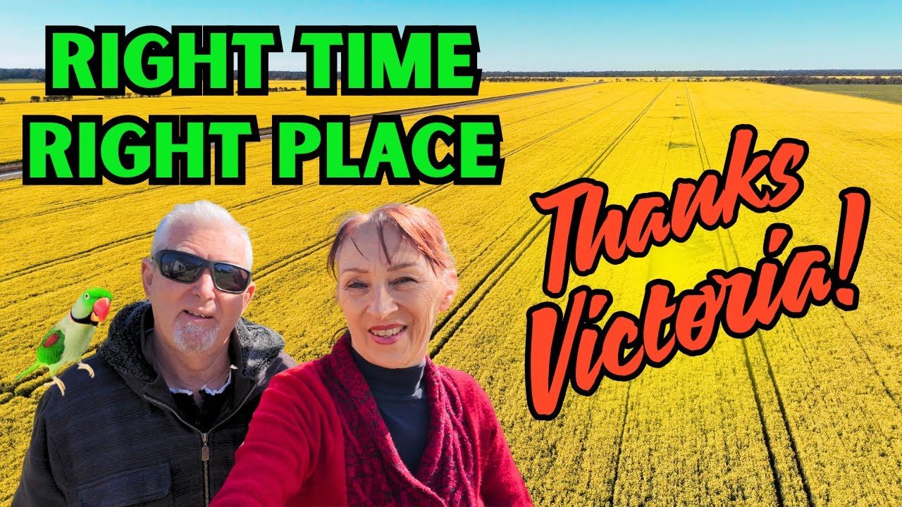 CANOLA FIELDS IN BLOOM / KOOYOORA STATE PARK CAMPING / PEBBLE CHURCH ...