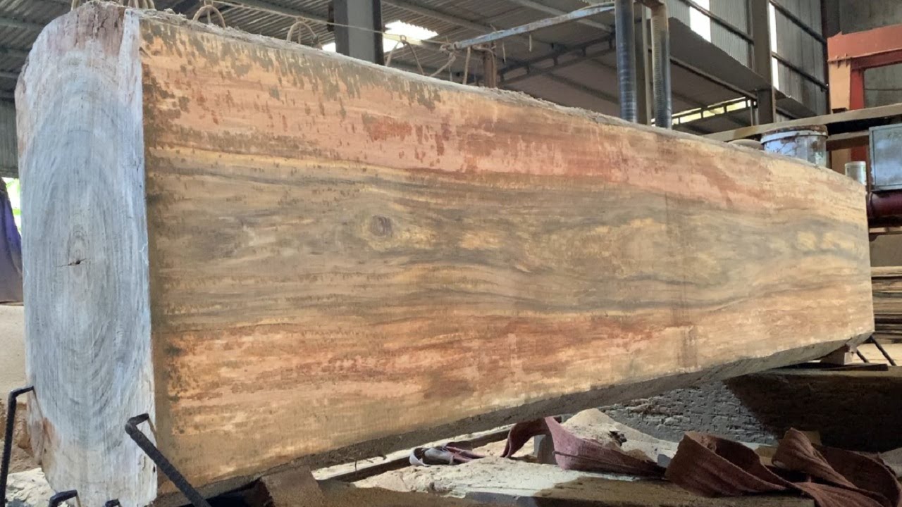 Amazing Factory Wood Sawmill - Skilled Woodworking Techniques / Amazing ...