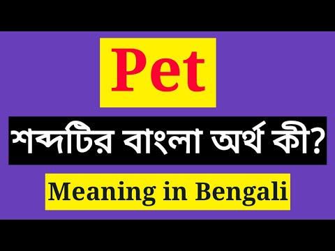 Pet Meaning in Bengali || Pet এর বাংলা অর্থ কি || Pet mane ki