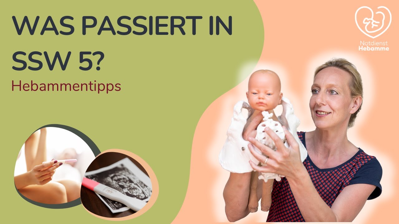 SO verändert sich dein KÖRPER in der 5. SSW - YouTube