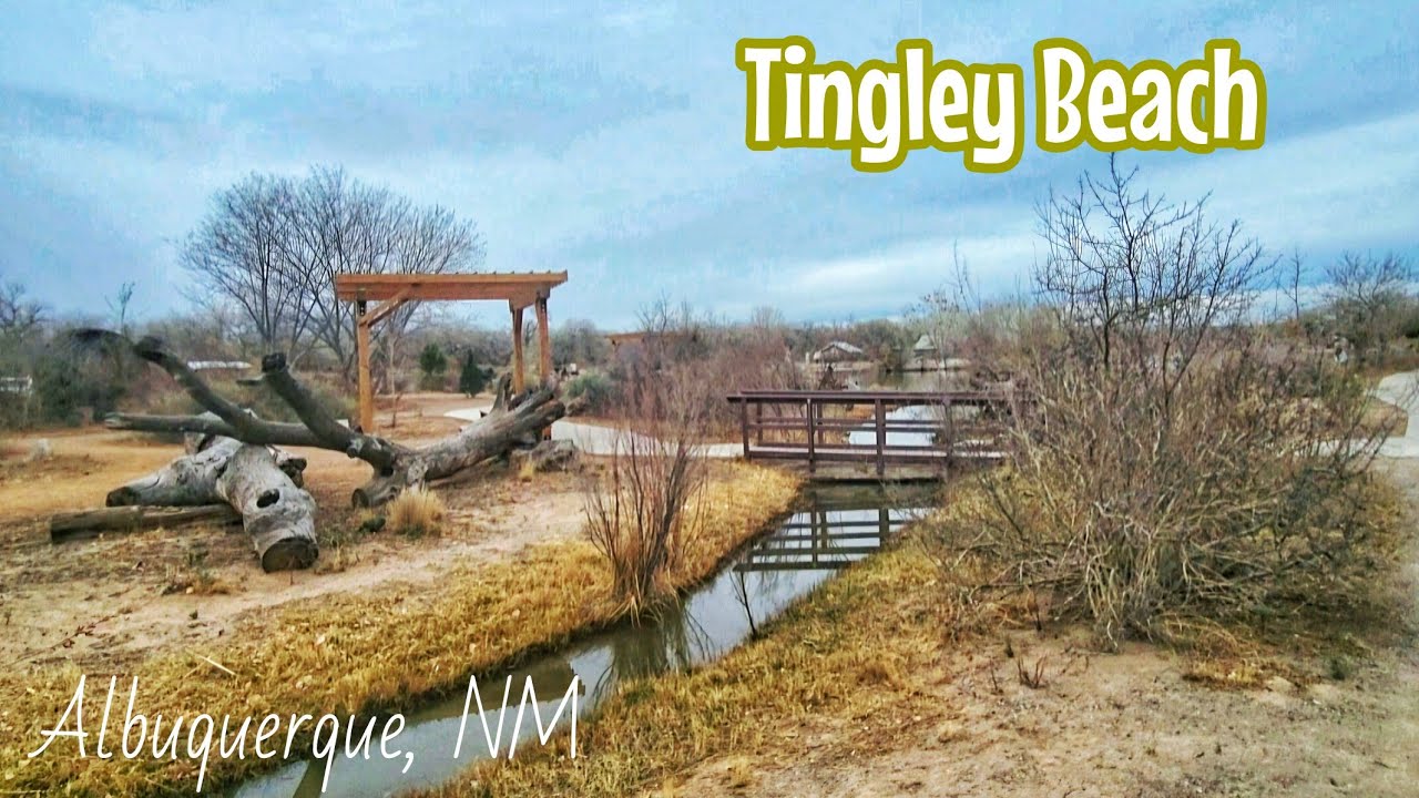 Discovering New Tingley Beach Pathways | Ducks in Trees | Elephant ...