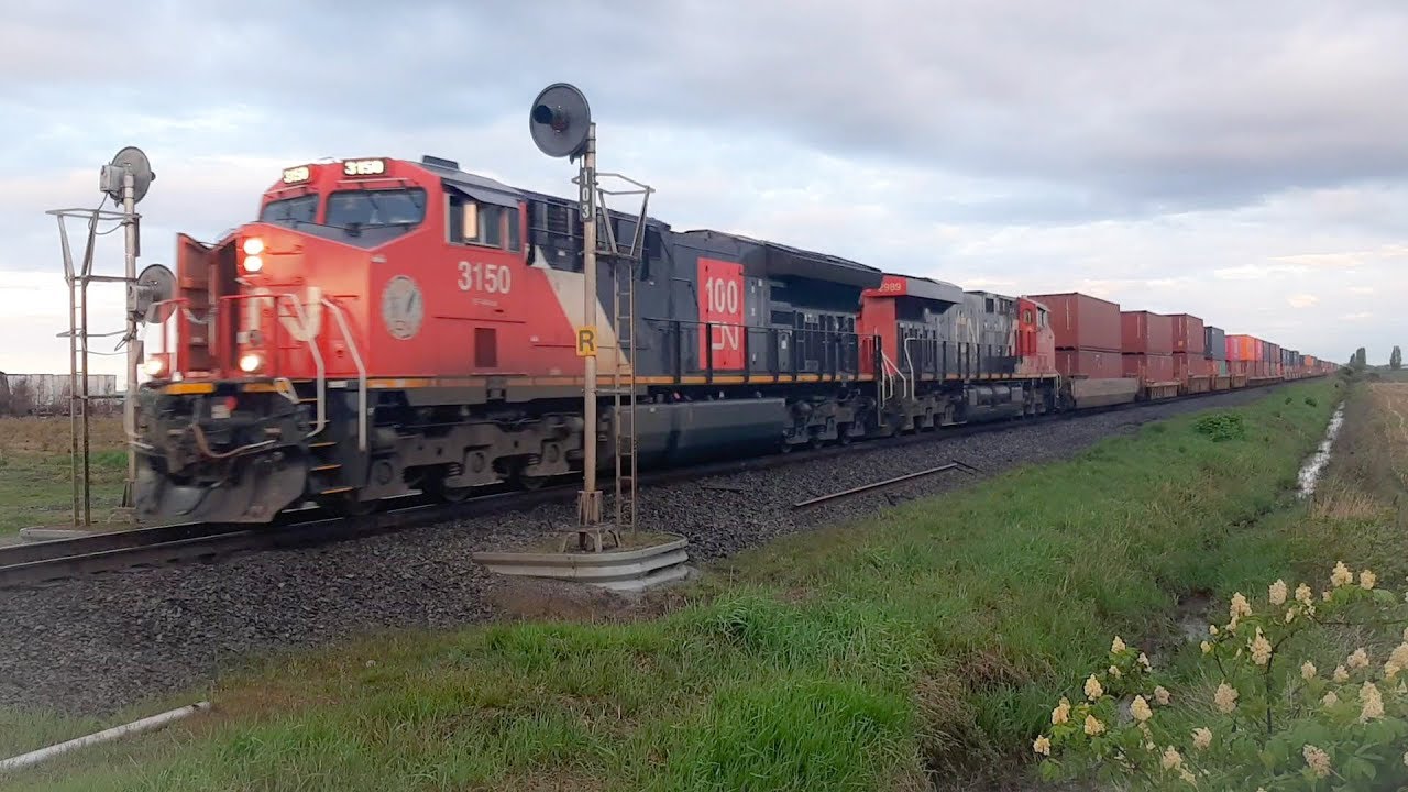 CN 3150 Tier 4! CN Stack Train At Sunrise In Delta British Columbia ...