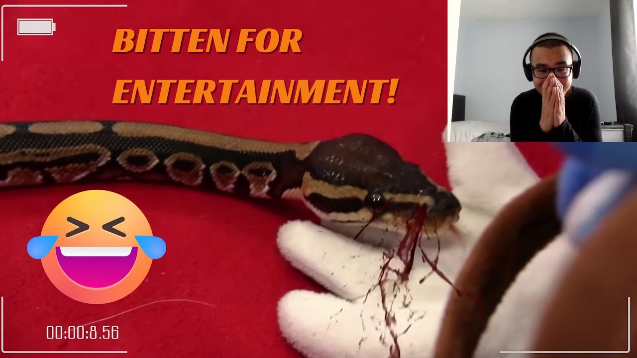 CODY GETS BITTEN BY A DEADLY SNAKE!😲😆| SML Movie: Cody Peterson ...