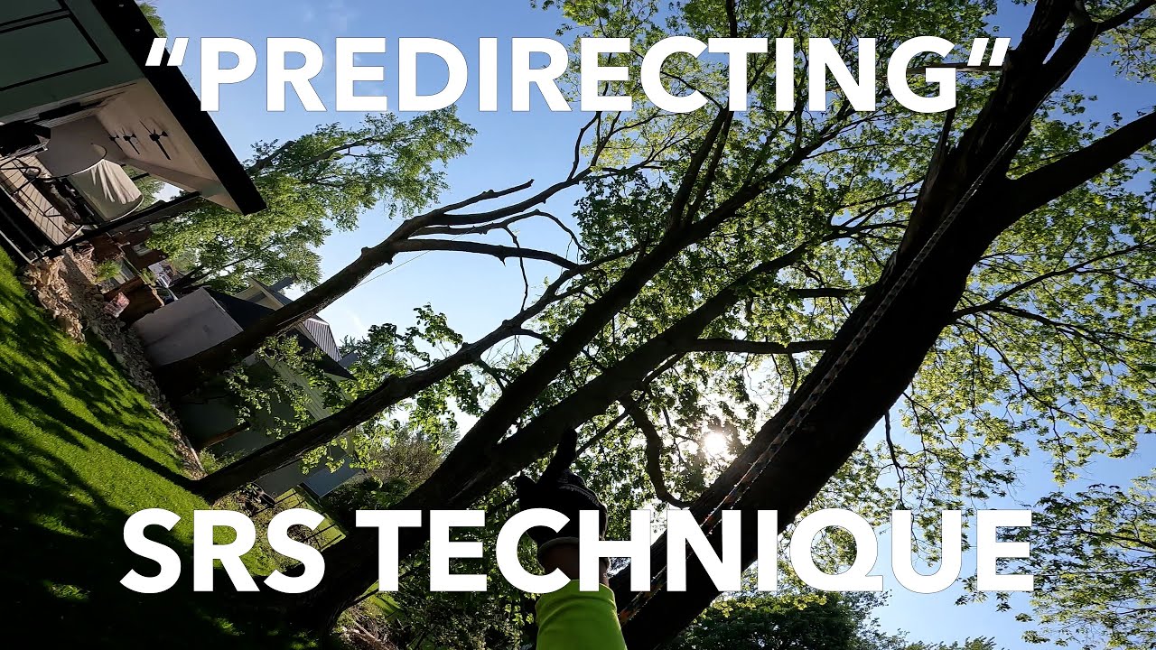 1 Arborist, 1 Rope, 3 Trees! Practical Use For Predirect SRS Technique ...
