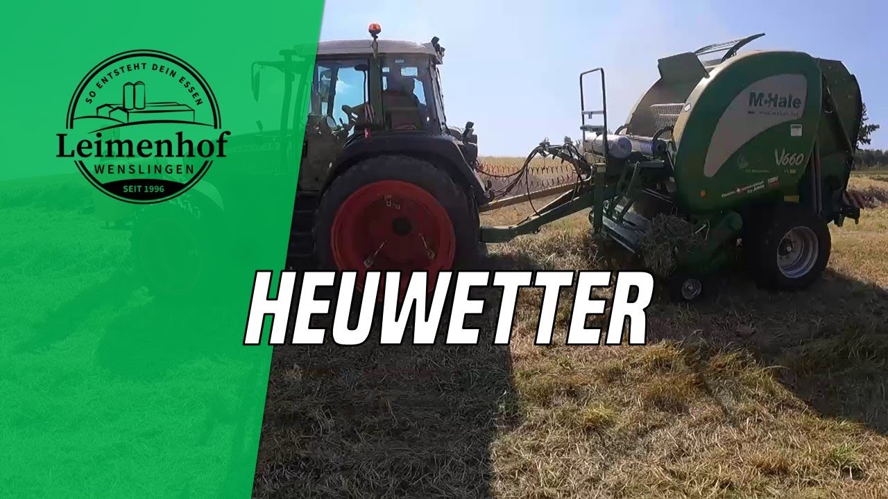 Wann ist das Heu trocken? - So entsteht dein Essen #192 - YouTube