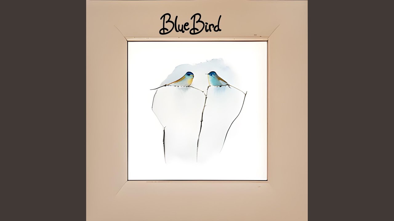 BlueBird - YouTube