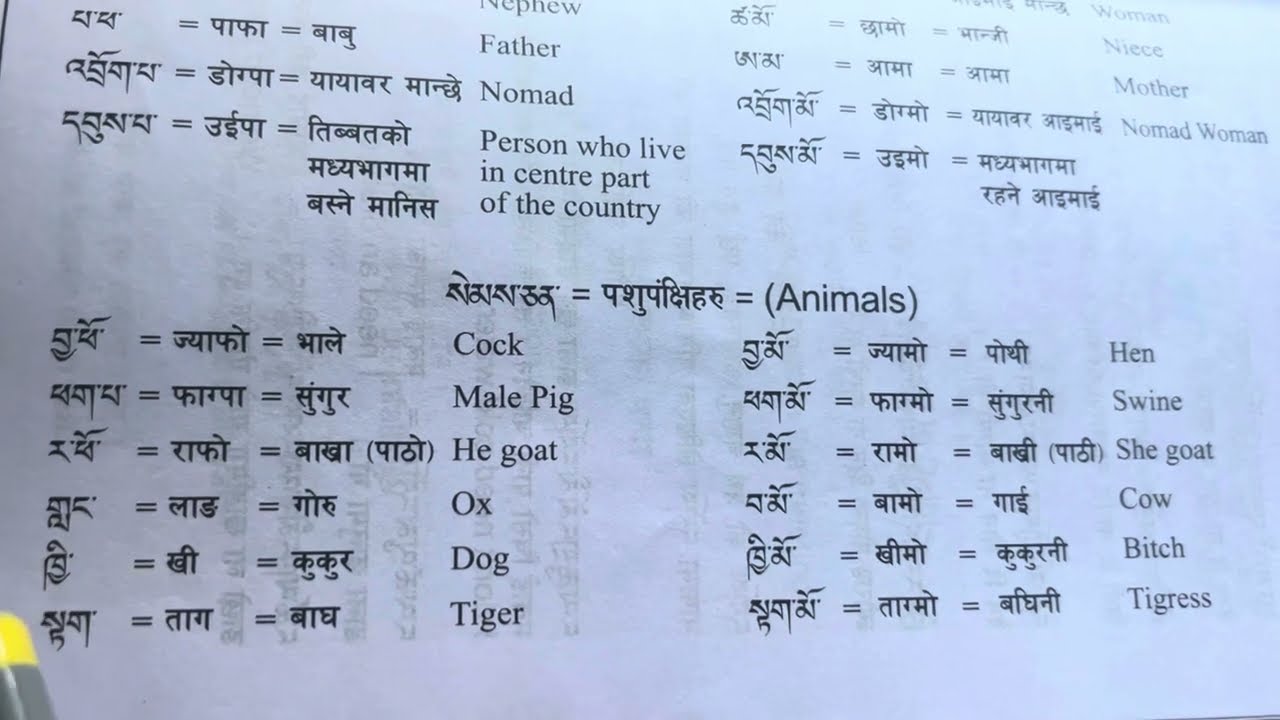 ཚ་བོ་དང་ཚ་མོ་། भान्जा र भान्जी 👫How to learn Tibetan language in Nepali - YouTube