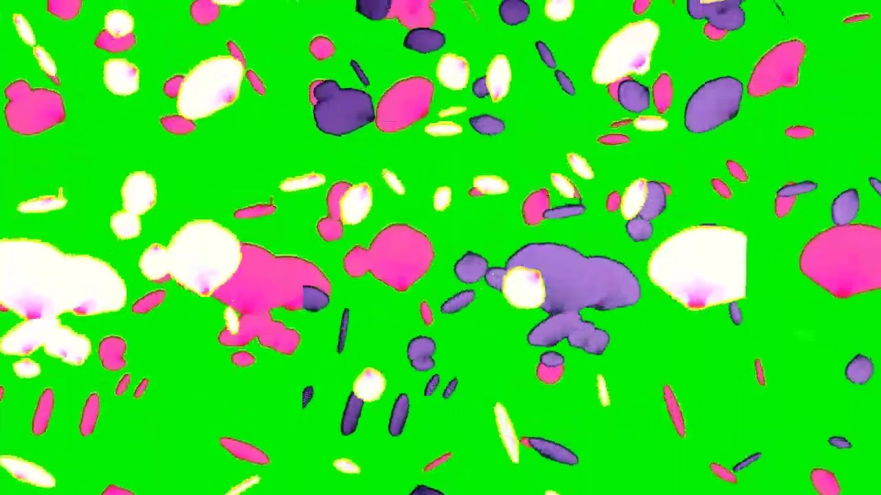 flower green screen vidio|green screen flowers |flowers green ...
