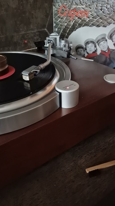 Секрет Винил Vinyl #vinylrecords #vinyl #vinylcollection #turntable # ...