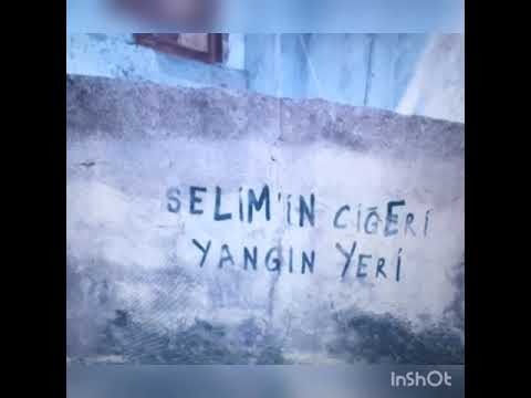 Selimin Ciğeri Yangın Yeri (3 Sezon 9 Bölüm Selim Muzik)